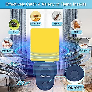 Flying Insect Trap Plug-in, 2023 Upgrade Plug-in Bug Catcher Mosquito Fruit Fly Trap Gnat Killer Indoor, Safe Non-Toxic UV Night Light Fly Trap with Sticky Trap for Flies, Gnats, Moths (Blue, 1 Pack)