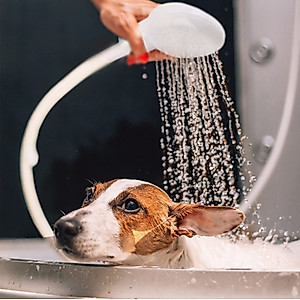 2m/6.56ft Portable Sink Hose Faucet Sprayer Sink Spray Rubber Hose Shampoo Sprayer Handheld Faucet Shower for Pets,Bathing Baby,Washing Hair,Rinsing Vegetables