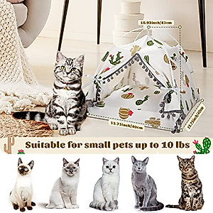 Grand Line Cat Bed Cat House with Mat, Foldable Cat Tent Kitten Teepee Indoor Outdoor, Portable Cute Nest for Cat Dog Puppy up to 10 lbs, Washable Cushion, All Seasons Available (Cactus)