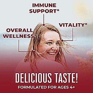 MaryRuth's Immune Support Elderberry Gummies with Echinacea | Vitamin C and Zinc for Adults & Kids | Immune Defense Gummy Vitamins | Cherry | Vegan | Non-GMO | 2 Pack | 90 Count