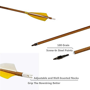 Letszhu Archery Carbon Arrows 500 Spine with Helical Real Feathers and Removable Tips for Compound Recurve Bow (6 Pack)