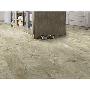 Shaw Floors 702SA02011 Tenacious HD+ Milled Vinyl Flooring, Bazaar Spice, 18 Square Feet