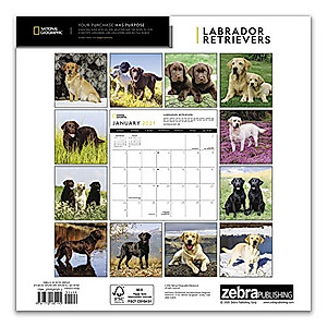 National Geographic Labrador Retrievers 2021 Wall Calendar