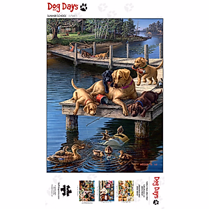 Buffalo Games - James A. Meger - Summer School - 750 Piece Jigsaw Puzzle for Adults -Challenging Puzzle Perfect for Game Nights - Finished Size is 24.00 x 18.00