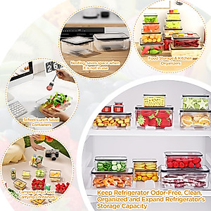 20 PACK Food Storage Containers with Lids Airtight, Larger Leakproof Plastic Meal Prep Containers Stackable Reusable for Kitchen Organization storage with Labels & Pen, BPA-Free, Microwave Safe