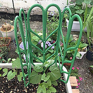 Indoor Plant Trellis for Climbing Plants Bundle Pack - 6 Leaf Shape Garden Plant Supports Houseplants Trellis, 18 Plant Clips, 12 Zip Ties, 1 Roll Wire Twist Tie for Potted Vine Vegetable Flower
