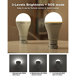 Flyhoom Portable Solar Light Bulbs with Remote, 4 Light Modes + Timer, 180LM Solar LED Light Bulbs for Indoor, Home, Chicken Coop, Camping, Hiking, Emergency (Pack of 2)