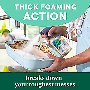 Seventh Generation Foaming Dish Spray, Honey Crisp Apple 16 Fl Oz (Pack of 3), Refill Pack of 3 with 1 Sprayhead