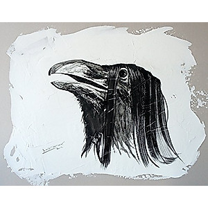 Turning into the crow and back 1