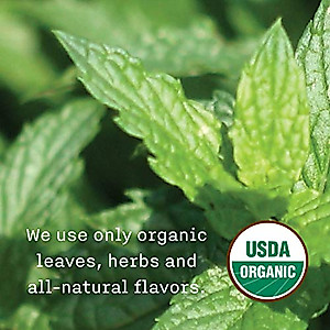 Allegro Tea Organic Northwest Peppermint Tea Bags, 20 Count