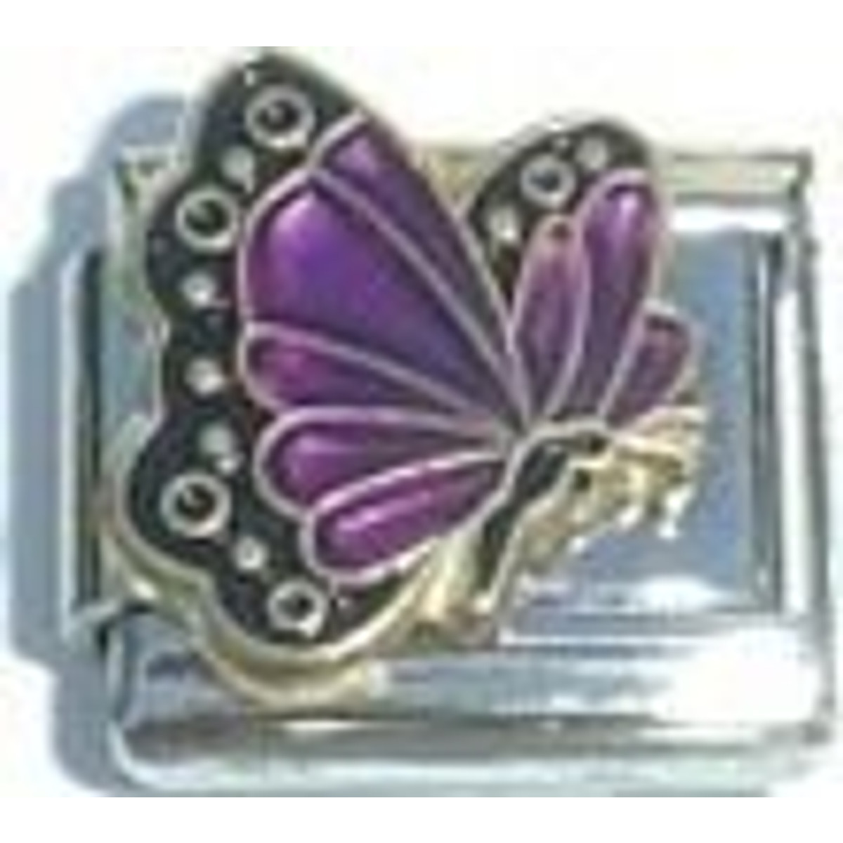 Clearly Charming Febuary Butterfly Birth Month Italian Charm