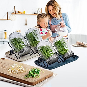 BARIKUEO 4PCS Stainless Steel Sprouting Lids,2 Stainless Steel Sprouting Stands,Drip Tray,Label sticker, 8 Pack Mason Sprouting Jar Kit (Not Include Mason Jar) for Regular and Wide Mouth Mason Jars