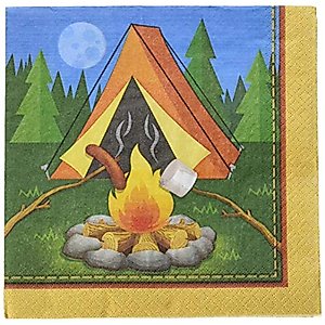 Creative Converting 329314 Camp Out Luncheon Napkins Party Supplies, One Size, Multicolor