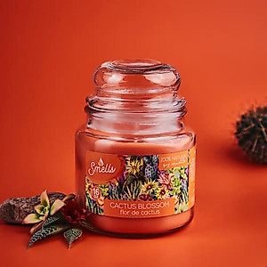 Smells - Premium Soy Wax Large Jar Scented Candle 16oz. - 100% Cotton Single Wick - Fragrance That Eliminates Home and Office Odors: Food, Pets, Smoke and Others (1-Pack, Cactus Blossom)