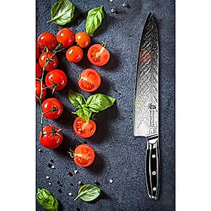 TUO Chef Knife - Kitchen Knives 10-inch High Carbon Stainless Steel - Pro Chef Vegetable Meat Knife with G10 Full Tang Handle - Black Hawk S Knives Including Gift Bo
