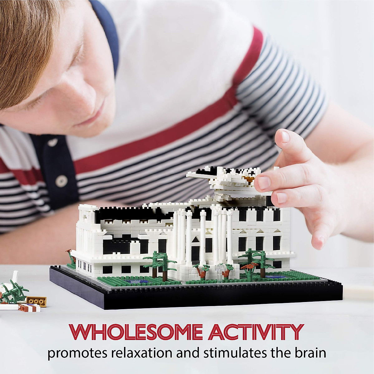 REVVIT Architecture White House Micro Building Blocks (2300 Pieces) Creative Building Set for Adults and Teens.