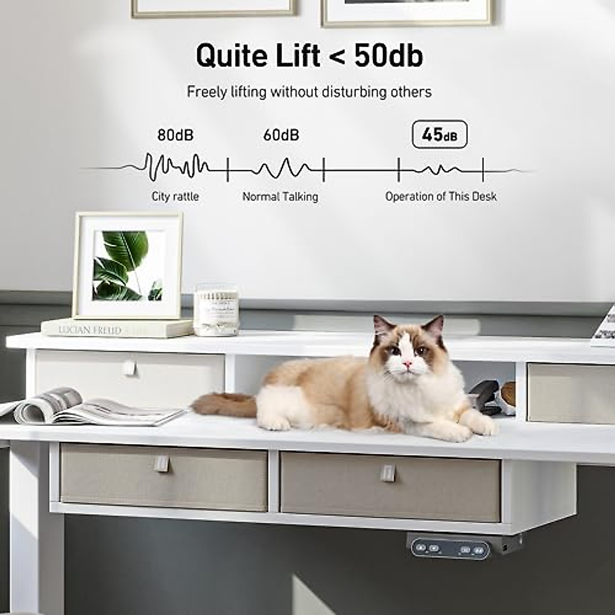 FEZIBO Sturdy Height Adjustable Electric Standing Desk with Drawers, 63 x 24 Inch Stand Up Table with Large Storage Shelf, Sit Stand Desk, White Top