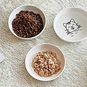 Y YHY Cat Bowls, Cat Dishes 5OZ Cat Food and Water Bowls for Dry and Wet Food 3 Set Wide Dish White Cat Bowl for Indoor Cat, Dog, Kitten, Puppy, Rabbit
