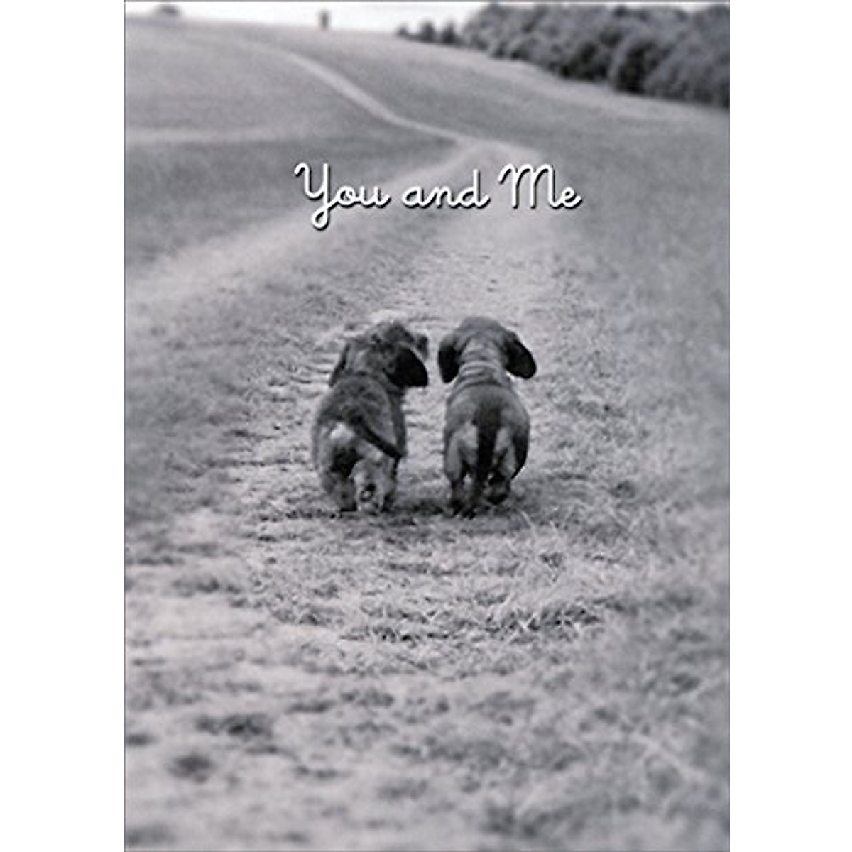 Dog Couple Walking On Path Avanti Romantic Birthday Card