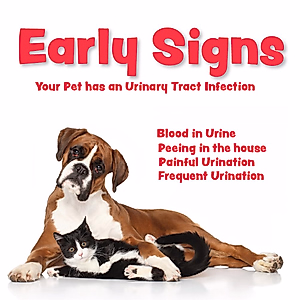 Cranberry D Mannose MAX- Dog Urinary Tract (UT) Health, Bladder and Kidney Support Supplement - UTI Bladder Control for Dogs-Granules (90 Doses)