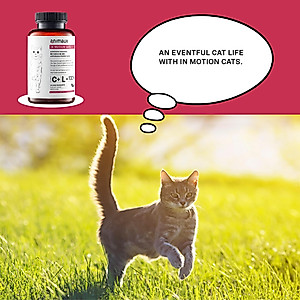 animaux - in Motion Cats, Green-lipped Mussel, Devil's Claw, Rose Hip & Ginkgo, Support for Bones, Joints, Cartilage, tendons, with Hyaluron, Collagen, 90 chewable Tablets, 90 Days Supply