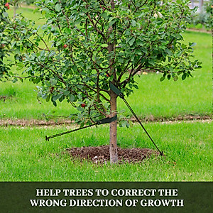 Tree Stakes - Heavy Duty Steel Tree Stake Straightening Kit, Tree Stakes and Supports for Young Trees, Include 6 PCS Steel Tree Stake, Tree Straps & Rope Black