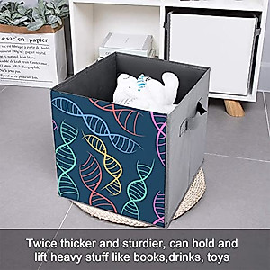 Colorful Scientific DNA Canvas Collapsible Storage Bins Cube Organizer Baskets with Handles for Home Office Car