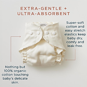 Esembly Cloth Diaper Try-It Kit, Starter Gift Set, Includes 3 Organic, Reusable Diapers Inners, 1 Stylish Outer, Patented Detergent & Wet Bag - Earth-Friendly Diapering, Mist, Size 1 (7-18lbs)