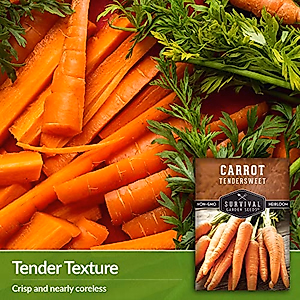 Survival Garden Seeds - Tendersweet Carrot Seed for Planting - Packet with Instructions to Plant and Grow Long Crunchy Orange Carrots in Your Home Vegetable Garden - Non-GMO Heirloom Variety
