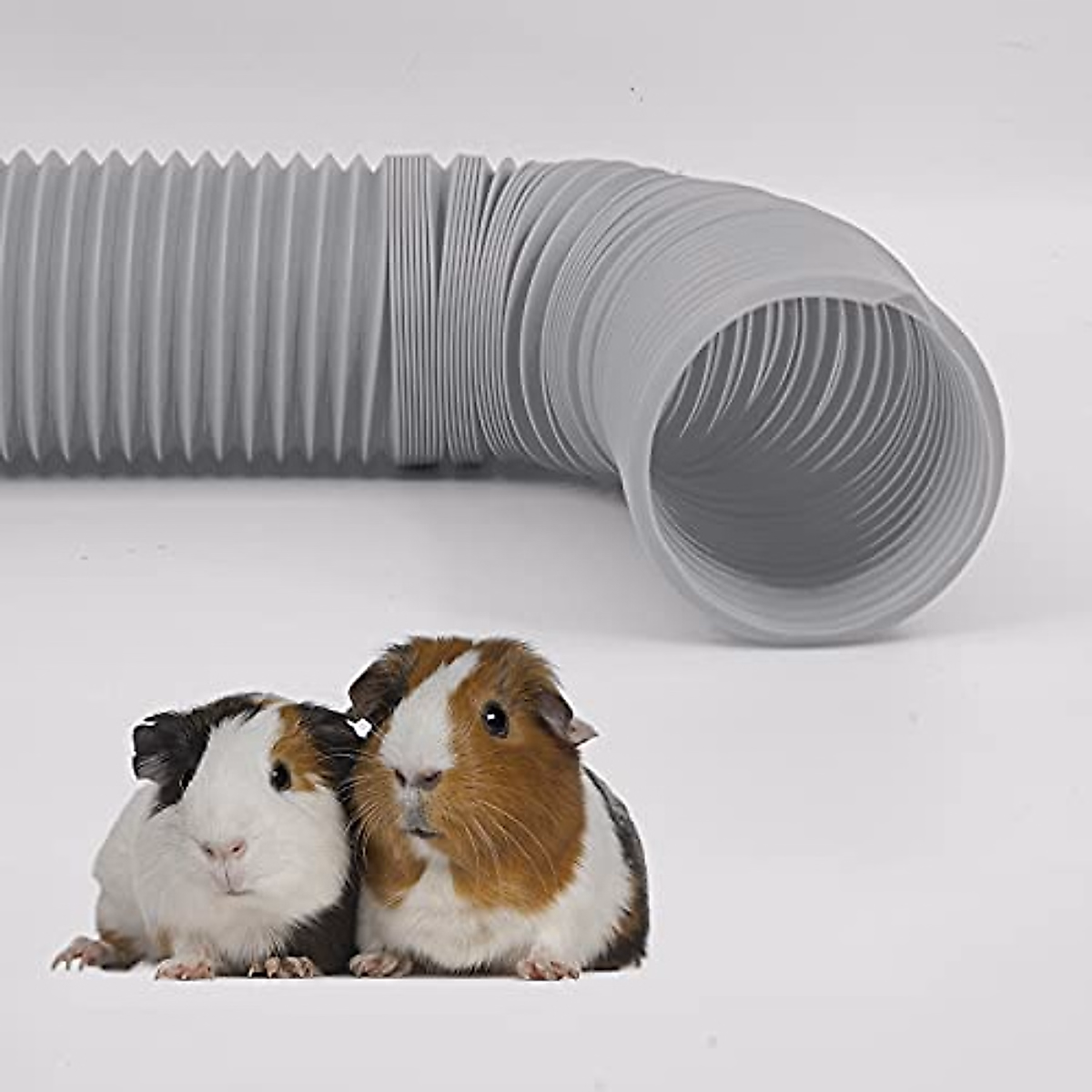 2 Pieces Pet Fun Tunnel Small Animal Play Tunnel Collapsible Plastic Tube Pet Hideaway Fun Toys for Hiding Training Fit Guinea Pigs Hamsters Chinchillas Rats Ferrets Dwarf Rabbits Green Black Wishope