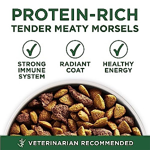 Purina ONE Plus Small Breed Lamb and Rice Formula Dry Dog Food - 15 lb. Bag