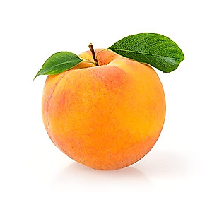 Lovell Peach Tree Seeds for Planting, (Prunus persica), 2 Heirloom Seeds Per Packet, (Isla's Garden Seeds), Non GMO Seeds, Great Home Garden Gift