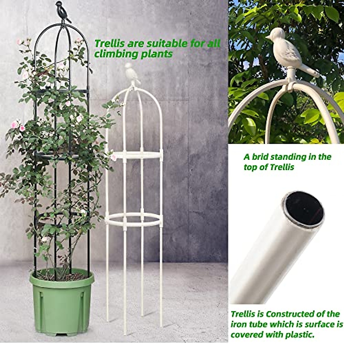 Garden Trellis for Climbing Plants, Rustproof Metal Pipe with Heavy Duty 6ft, Garden Outdoor Indoor Potted Plant Support（White）…