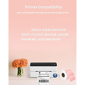 Phomemo Pink Direct Thermal Labels for Label Printer, Perforated Barcode Address Thank You Labels, Compatible with Rollo, iDPRT, Zebra Desktop Printers - 2.25" X 1.25”,1000/Roll
