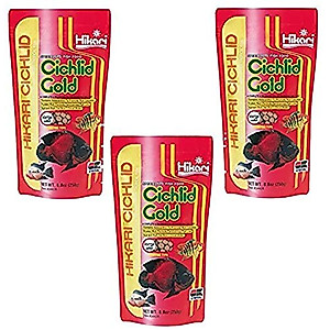 Hikari (3 Pack) Cichlid Gold Floating Pellets for Pets, Mini - 8.8-Ounce Each