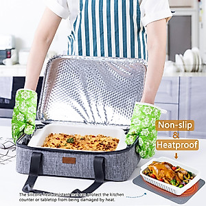 BAGSPRITE Expandable Insulated Casserole Carrier for Hot or Cold Food, Casserole Dish Carrying Case,Thermal Lasanga Lugger Tote for Pockluck, Parties, Picnic, Fits 9" x 13" Baking Dish, Fancy Panz