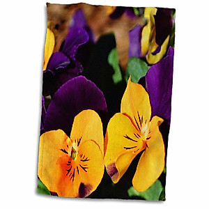 3D Rose Gold and Purple Beautiful Two Tone Colored Pansies TWL_181143_1 Towel, 15" x 22", Multicolor