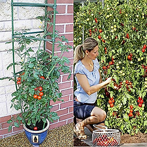 Derlights Tomato Cages Deformable Plant Supports, 3Pack Plant Cages Tomato Stakes Garden Cages, Multi-Functional Tomato Trellis for Climbing Vegetables with 9Pcs Clips