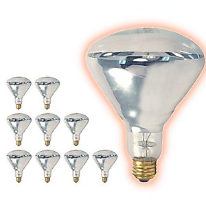 GoodBulb 25O-Watt Heat Lamp BR40 Light Bulbs | Incandescent Restaurant Bulb with E26 Medium Base | 2700K Warm White Light Color | 3250 Lumens (Pack of 10 Bulbs)