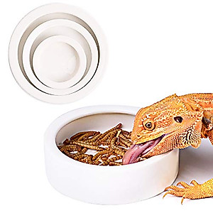 ELDETU Reptile Food Water Dish Worm Bowl Mealworm Feed Feeder Mini Reptile Food Bowl Ceramics Made (S)