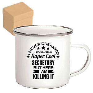 Humorous Gift Unique Office Professional Gift For Secretaries, Anniversary Surprise For Aunt - Killing It, Inspirational Quote On 12oz Enamel Silver Mug