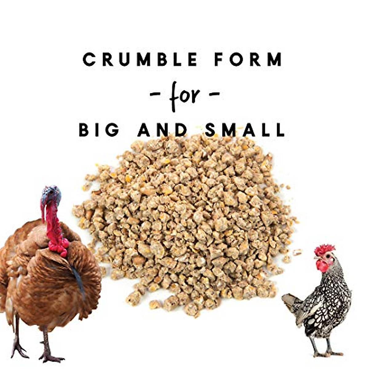 Manna Pro All Flock Crumbles | 16% Protein Level | Complete Feed for Chickens, Ducks, Geese, Turkeys and Gamebirds | Probiotics to Support Digestion | Crumbled Form for Easy Feeding | 25 Pounds