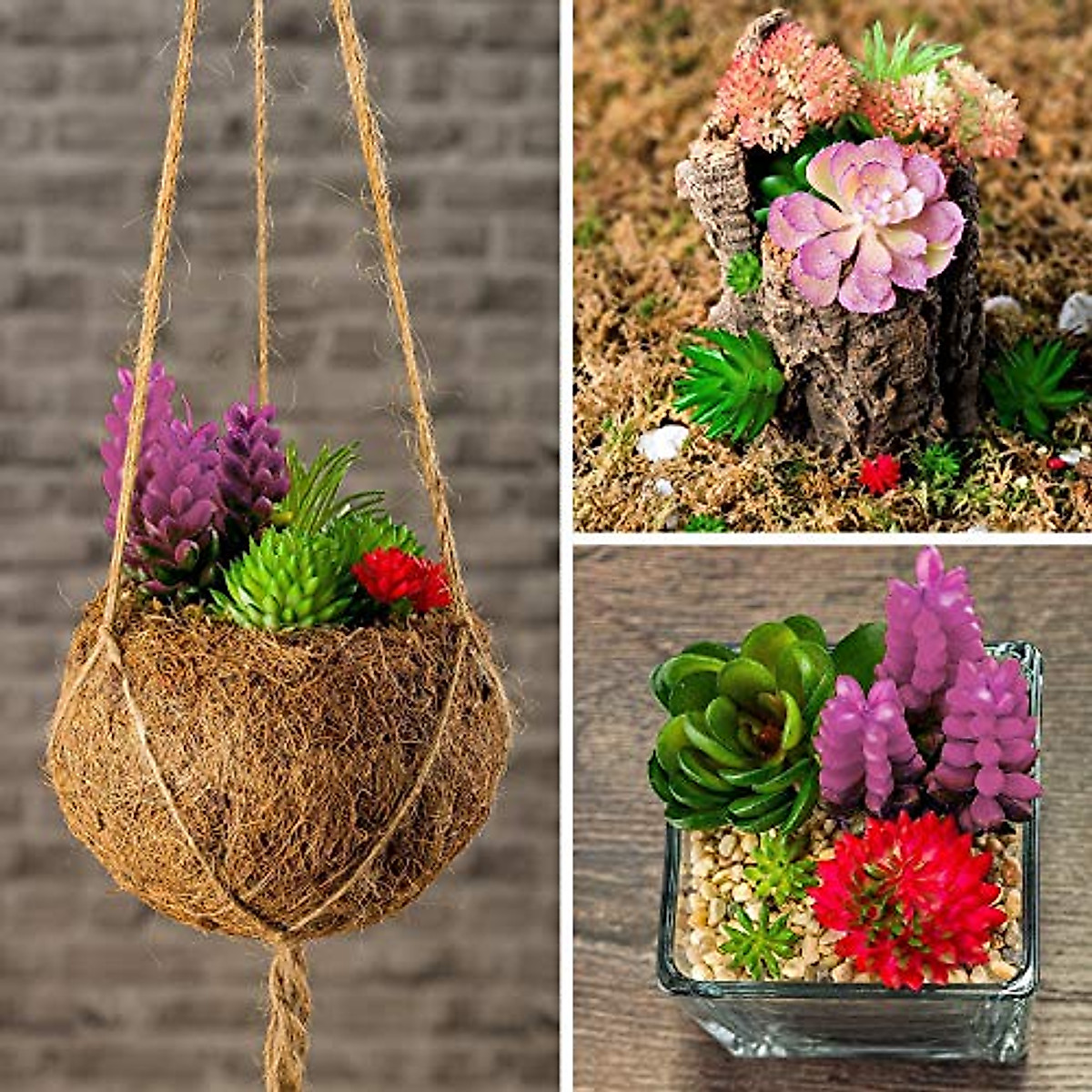 Housenior 24 Mini Artificial Succulent Plants Unpotted : Fake Succulents Picks Realistic Plastic Cactus Stems for Terrarium Bulk Small Faux Assorted Arrangements Flocked Greenery
