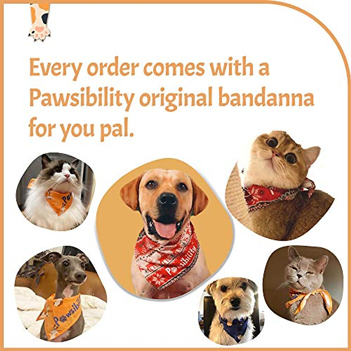 Pawsibility - Reinvented Pet Nail Clippers for Your Pal - Ultra Bright LED Light for Bloodline | Razor Sharp and Durable Blade | Vets Recommended Trimming Tool for Dogs and Cats