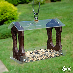 Lyric Chickadee Wild Bird Seed - Sunflower & Nut Premium Bird Food Mix for Chickadees, Nuthatches & Titmice - 4 lb bag