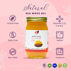 Healthy Herbs Sea Moss Gel (Natural) Wildcrafted from Jamaican St Lucia Gold Seamoss | Wild-Harvested Superfood With Over 90 Essential Vitamins & Minerals | Vegan, Non-GMO, US-Made (16 oz.)