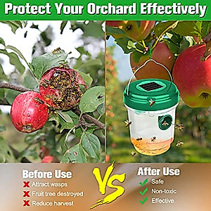 Wasp Traps, Solar Bee Trap Catcher, Wasp Catchers Yellow Jacket Trap with UV LED Light, Nontoxic Reusable Wasp Trap Outdoor Hanging, Wasp Killer for Trapping Wasp, Hornet, Bee (2-Pack, Orange+Green)