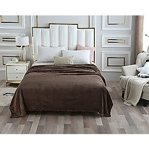 CAI TENG Waffle Textured Fleece Blanket Flannel Blanket for for Couch Sofa Living Room Plush Lightweight Microfiber Throw (Chocolate Brown, 50 x 60 Inches)