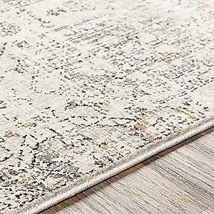 Hauteloom Bluffs Moroccan Farmhouse Living Room Bedroom Dining Room Area Rug - Bohemian Style - Boho Vintage Distressed - Beige, Gray, Brown, Cream 6'7" x 9'
