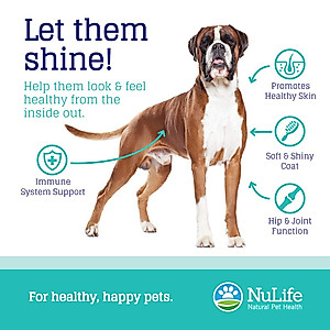 Omega Skin and Coat Chews for Dogs, Wild Salmon Dog Treats with Biotin & Vitamin E, Helps with Itchy Skin, Allergy Relief & Shedding, Omega 3 6 9, EPA & DHA Fatty Acids, Made in USA, 120 Chews